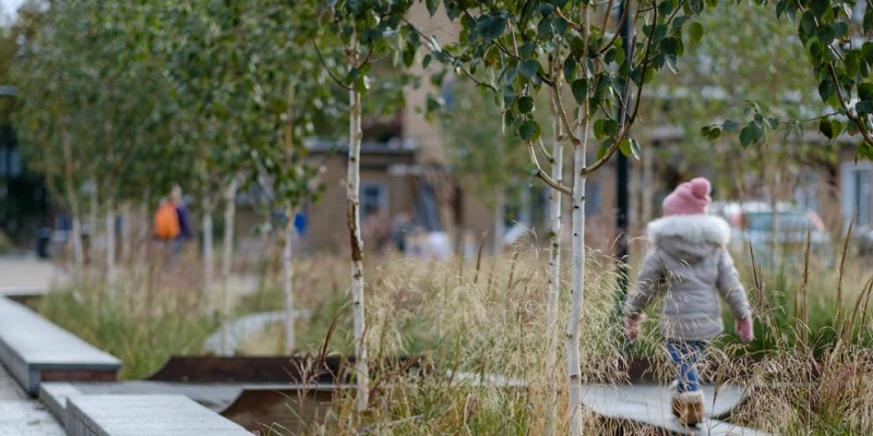 Cities permeable to rainwater: sustainability infiltrates the pavement ...