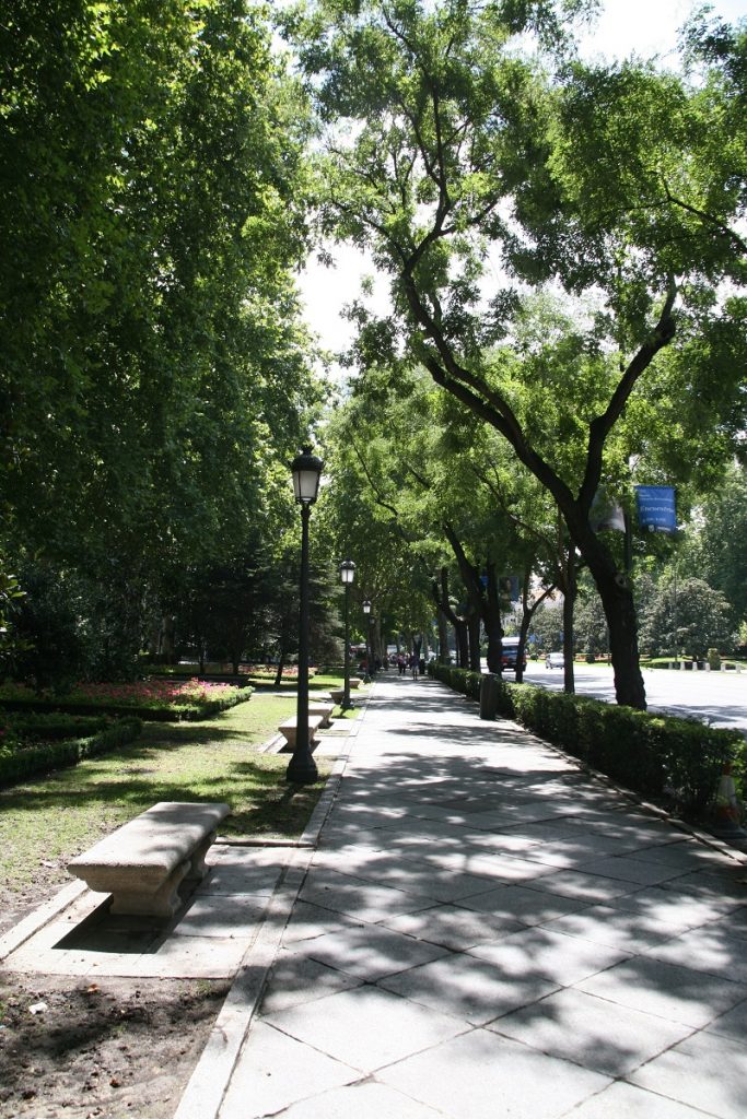 Un paseo para conocer mejor los árboles de las calles madrileñas | Crea ...