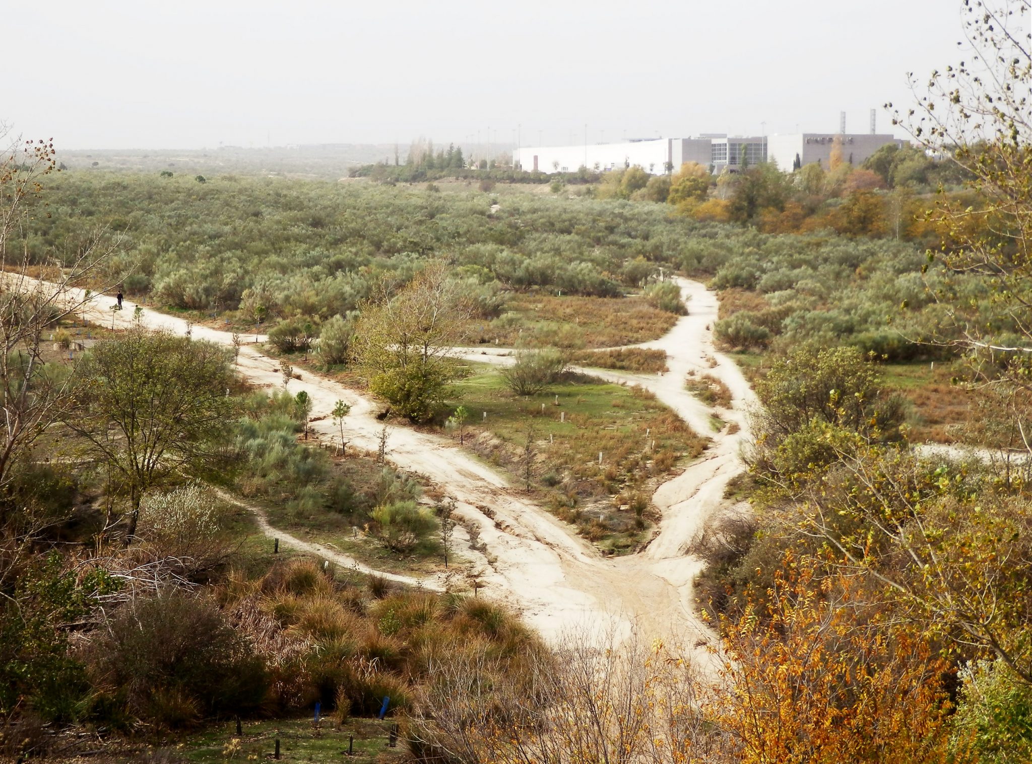Arco Verde Madrid: Conectando Naturaleza, Municipios y Ciudadanía